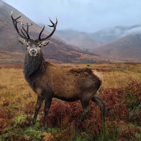 Your pictures of Scotland 13 - 20 November
