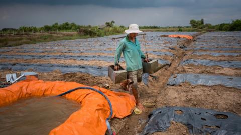 Paris climate deal is 'lifeline' for world's poorest countries - BBC News
