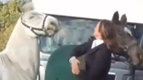 Teacher suspended over anti-hunt campaigners' viral horse kick video ...