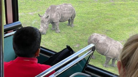 Wednesbury Rotary Club treats 500 pupils to safari park trip - BBC News