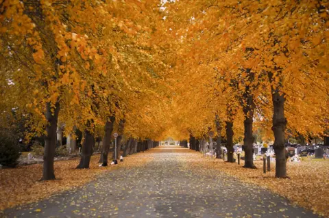 England's Big Picture: 26 October - 1 November