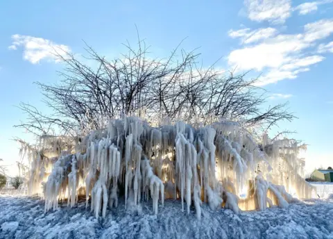 Your pictures of Scotland 12 - 19 February