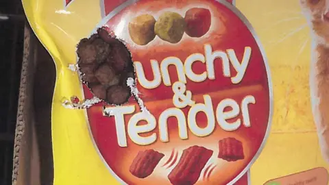 Poundworld Croydon fined for mice infestation