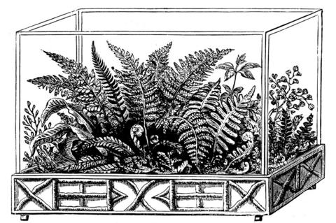 The clever glass box that reshaped the world - BBC News