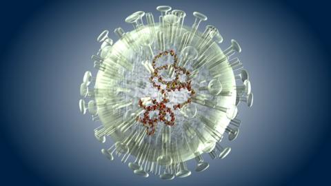 'First flu' affects lifetime risk - BBC News