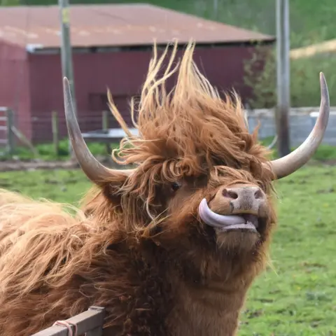 Your pictures of Scotland: 6 -13 May