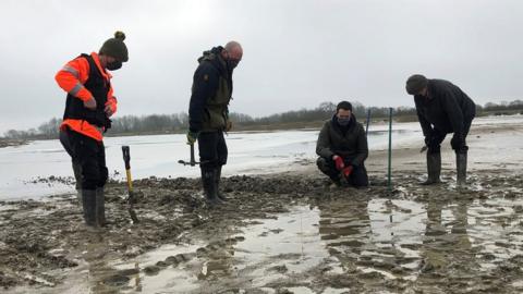 Rutland sea dragon: How remarkable ichthyosaur fossil was protected ...