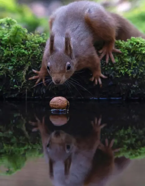 Your pictures of Scotland 2 - 9 April