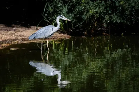 England's Big Picture: 6 - 12 July
