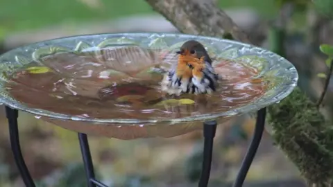 Your pictures of Scotland: 2 - 9 November