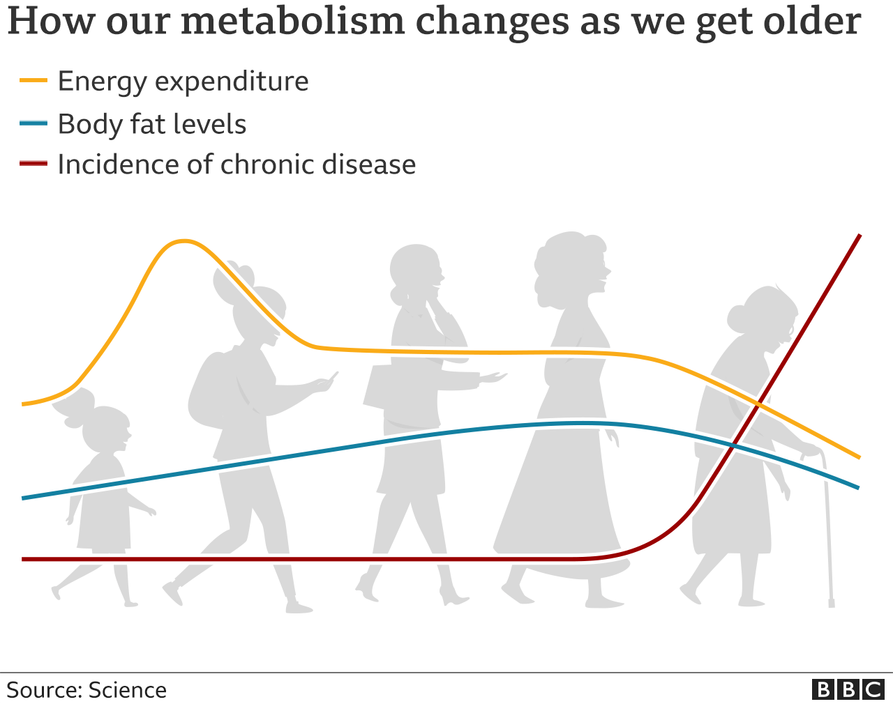 Metabolism peaks at age one and tanks after 60, study finds - BBC News