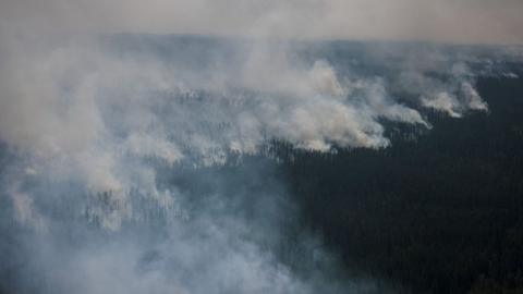 Global warming and land use change to drive more extreme wildfires ...