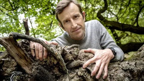 Glimpsing a world beyond human extinction