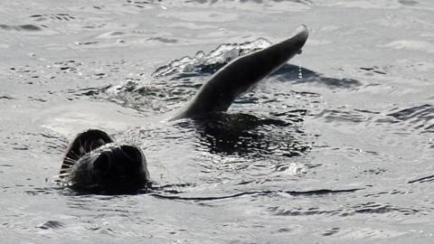 Your pictures of Scotland: 13 October - 20 October - BBC News