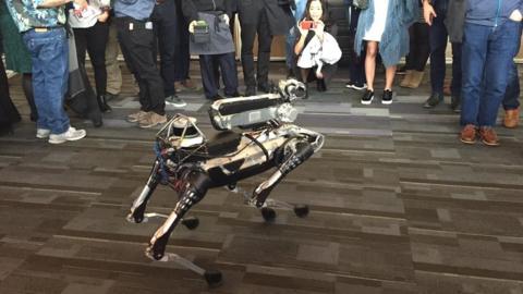 Silicon Valley security robot attacked by drunk man - police - BBC News