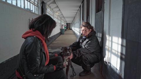 Year of the Dog: Film shows 'lifeline' between homeless people and ...