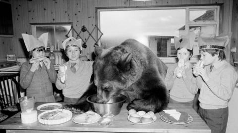 Tribute after Hercules the bear's owner Andy Robin dies - BBC News