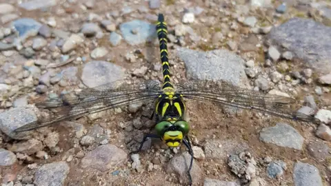 Your pictures of Scotland: 26 July - 2 August