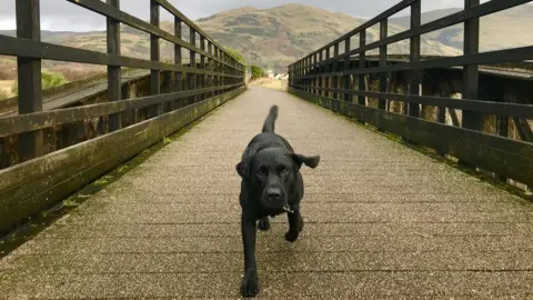 Your pictures of Scotland 7 - 14 February