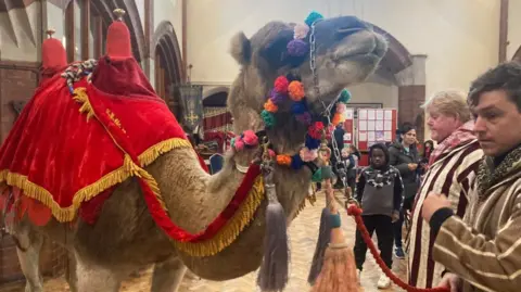 Animals among stars in Coventry church's nativity play