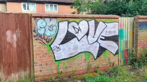 Paston local fed up with graffiti asks for mural on garden wall