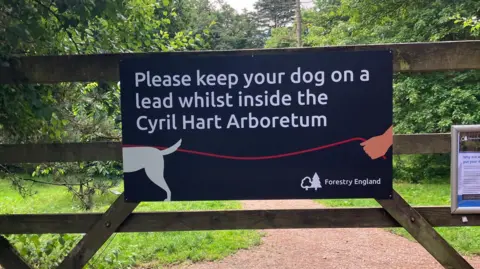 Harrogate illustrator's crying corgi image goes viral