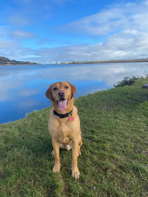 Your pictures of Scotland: Photographs from around the country