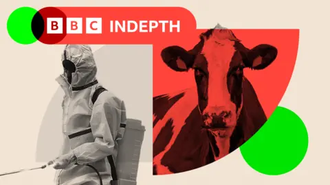 Universal flu vaccine could counter future pandemic