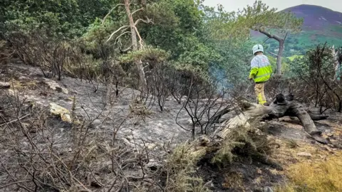 Conwy county: Unattended campfire leads to mountainside blaze