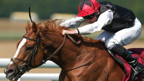 Horse Racing - Latest news, fixtures & schedule - BBC Sport