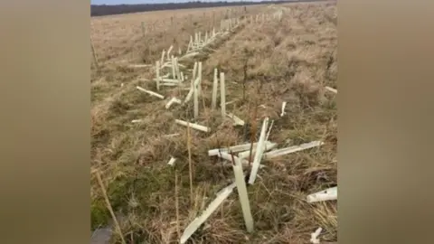 Trees damaged in Northumberland nature reserve vandalism