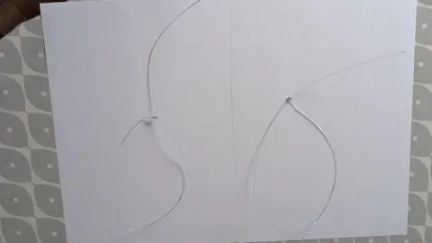 Cats caught in illegal snare leads to £400 vet bill