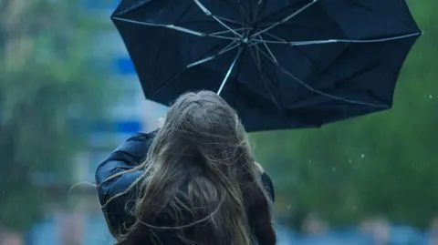 NI Environment: MLAs urged to support new protection agency