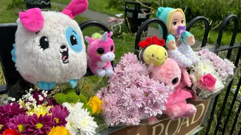 Teenager admits causing Walsall girl's hit and run death