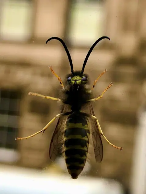 Your pictures of Scotland: Photographs from around the country