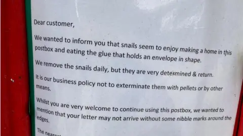 Snails eating mail in Lewdown village postbox