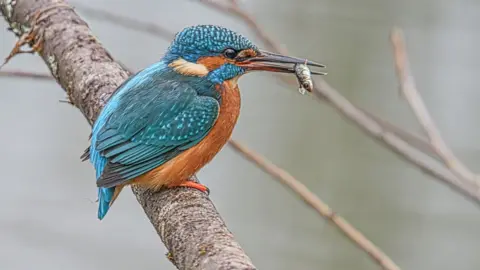 Your pictures of Scotland: Photographs from around the country