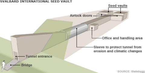 The gloomy Arctic seed bank that's key to future crops - BBC News