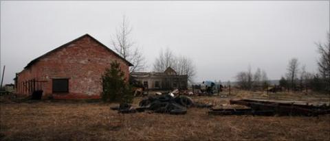 Chernobyl zone shows decline in biodiversity - BBC News