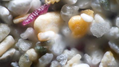 Mega close-up pictures of sand! - BBC Newsround