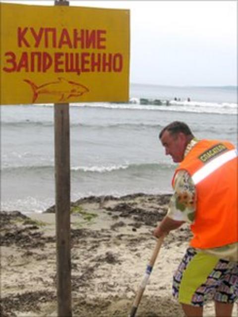 Russia sharks: Two attacks in 24 hours on Pacific coast - BBC News