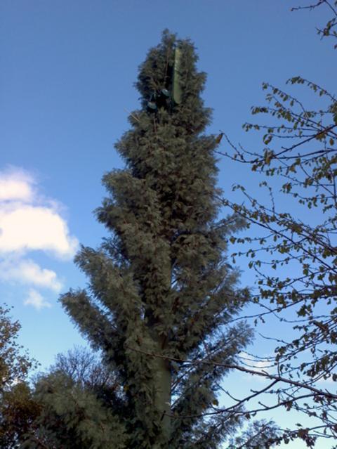 Your pictures of Scotland: 11 - 18 November - BBC News