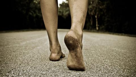 Your pictures: Grubby - BBC News