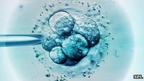 Three-person IVF trial 'success' - BBC News