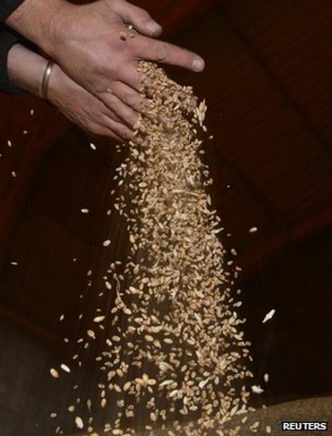 Wheat genome's key parts unlocked in new study - BBC News