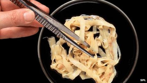 History's weirdest fad diets - BBC News