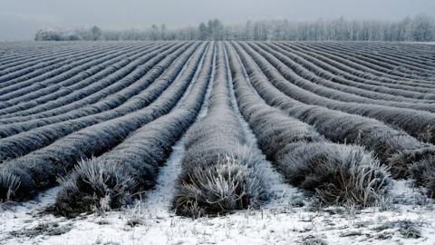 Your snow pictures - BBC Weather