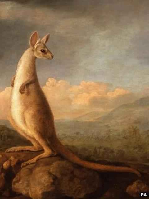 George Stubbs' kangaroo and dingo paintings get export bar - BBC News