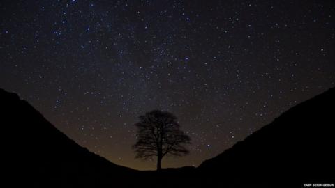 In pictures: Northumberland park's night sky beauty - BBC News