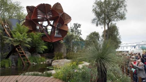 Chelsea Flower Show in pictures - BBC News